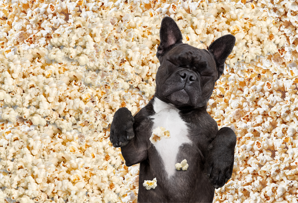 Gary's Original Soft Caramel Popcorn | True Old Fashioned Popcorn ...